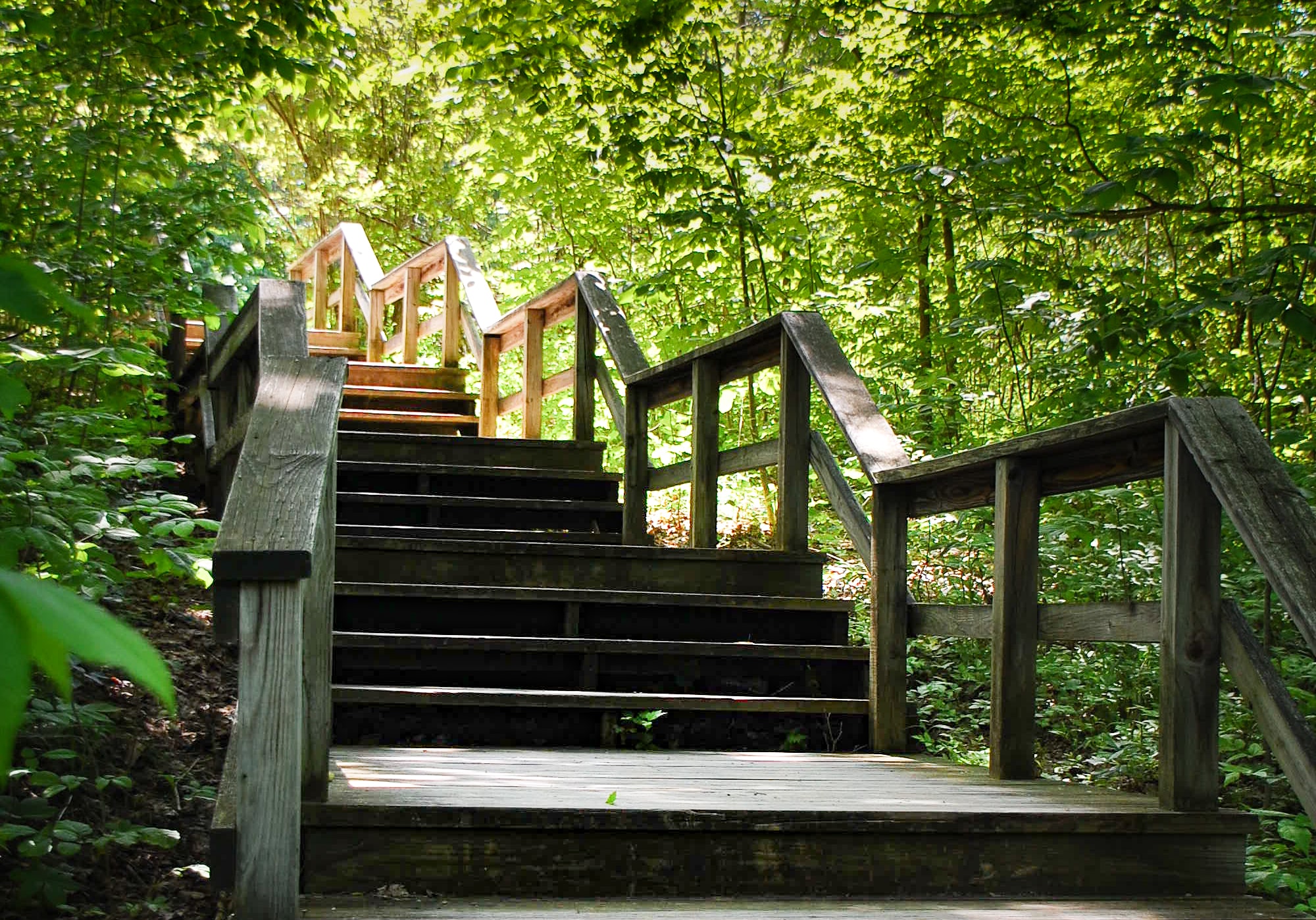 Woodland Trail » Holden Arboretum » HF&G