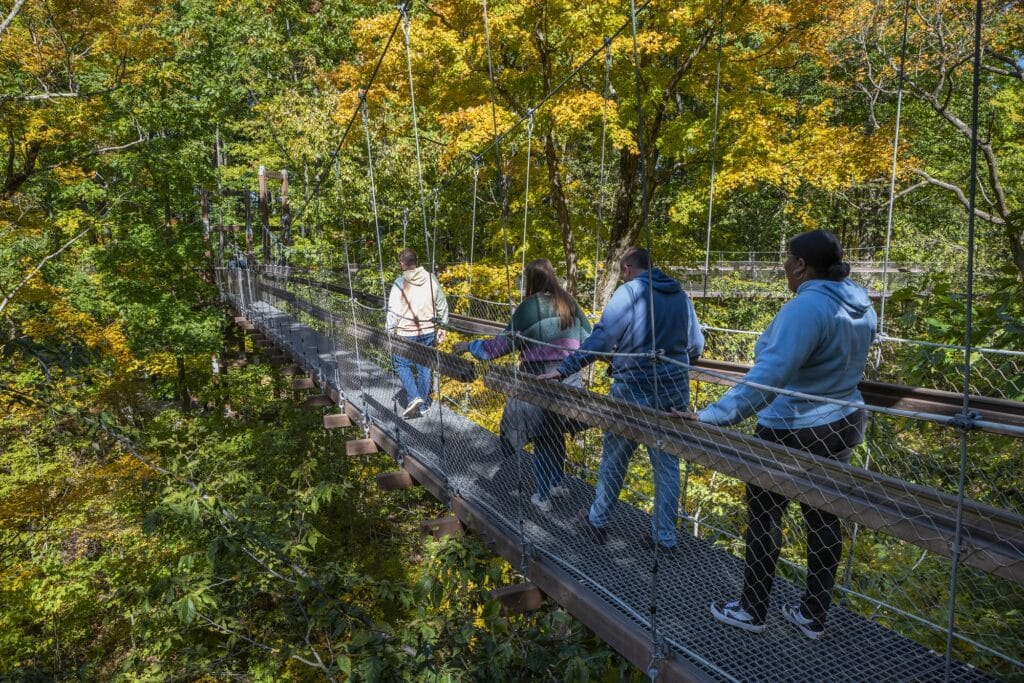 What to See & Do » Holden Forests & Gardens