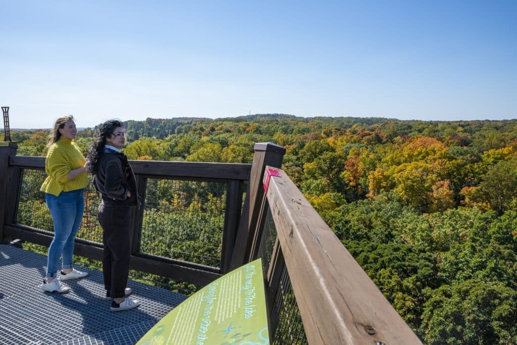 Holden Arboretum Gardens and Attractions » Holden Forests & Gardens