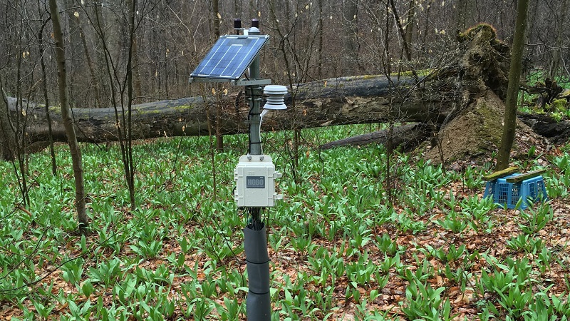 Long-term Research in Forest Ecology in Stebbins Gulch » Evolutionary ...