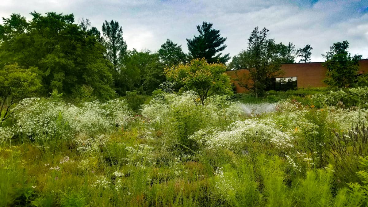 Arlene and Arthur S. Holden Jr. Butterfly Garden » Holden Arboretum » HF&G