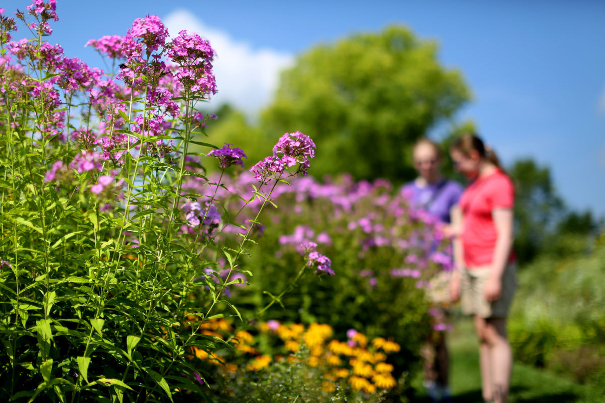 Photography at Holden Arboretum » Holden Forests & Gardens