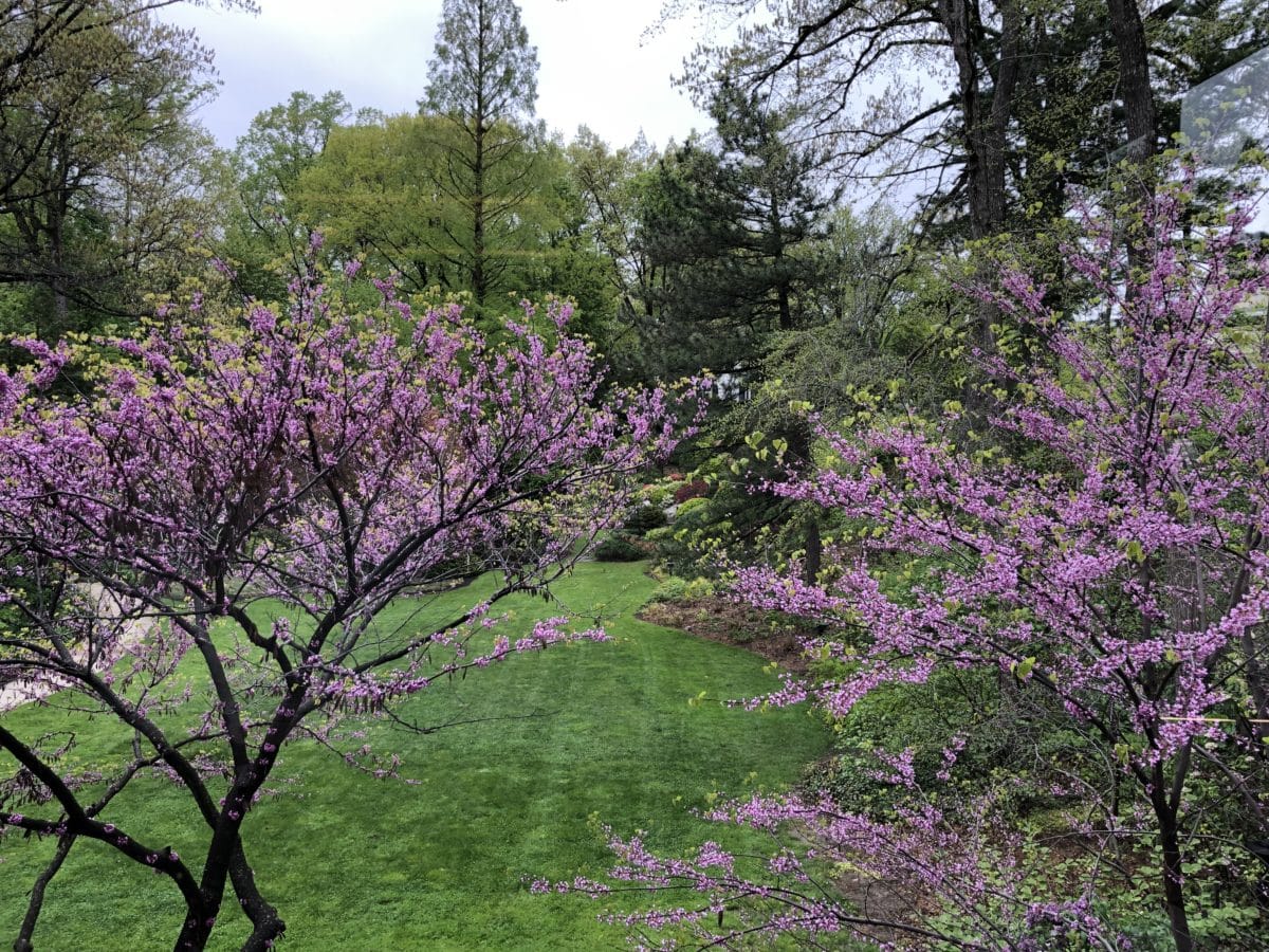 Display Garden » Holden Arboretum » HF&G