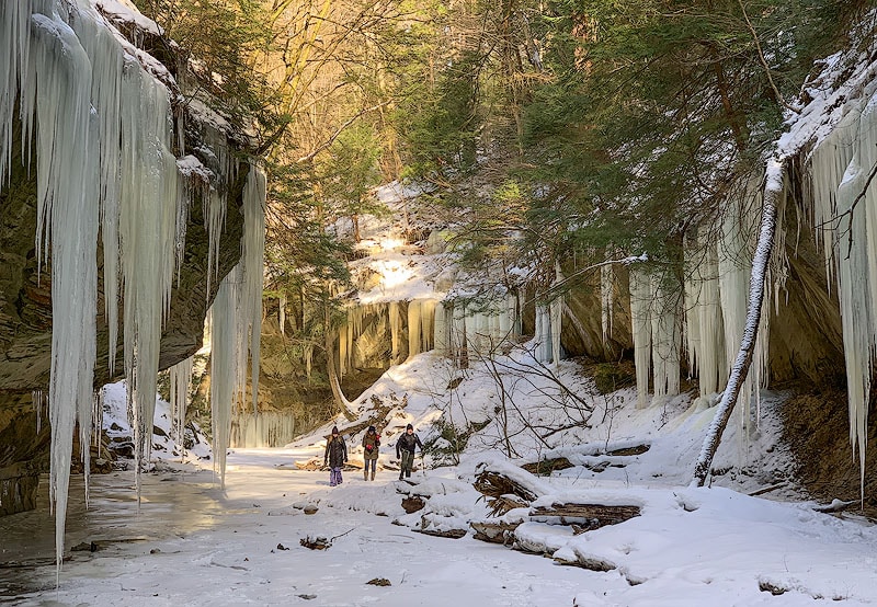Stebbins Gulch » Holden Arboretum » HF&G