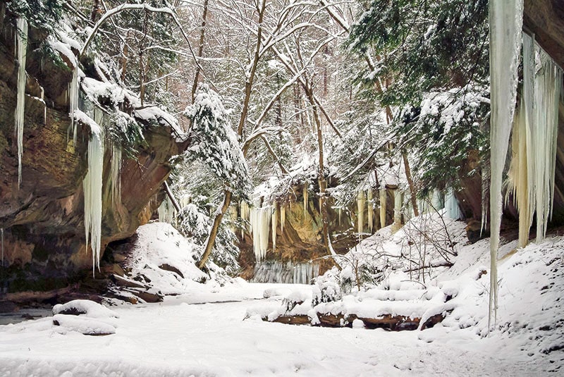 Stebbins Gulch » Holden Arboretum » HF&G