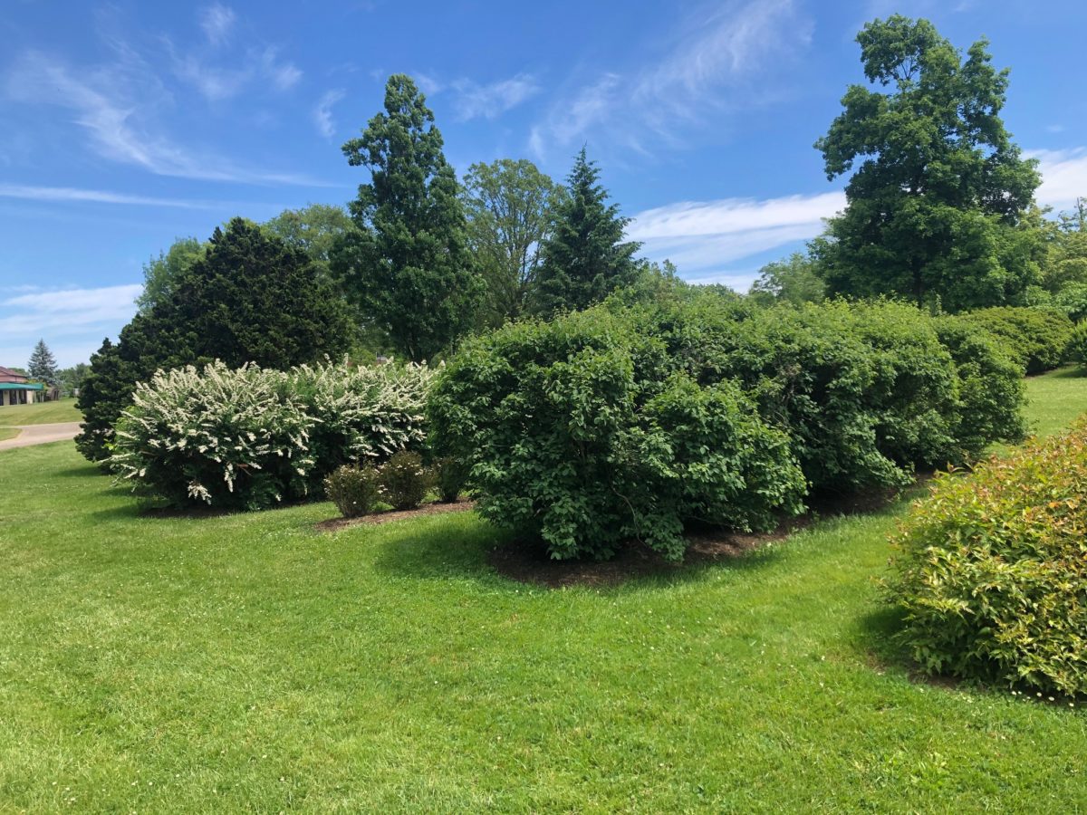 Display Garden » Holden Arboretum » HF&G