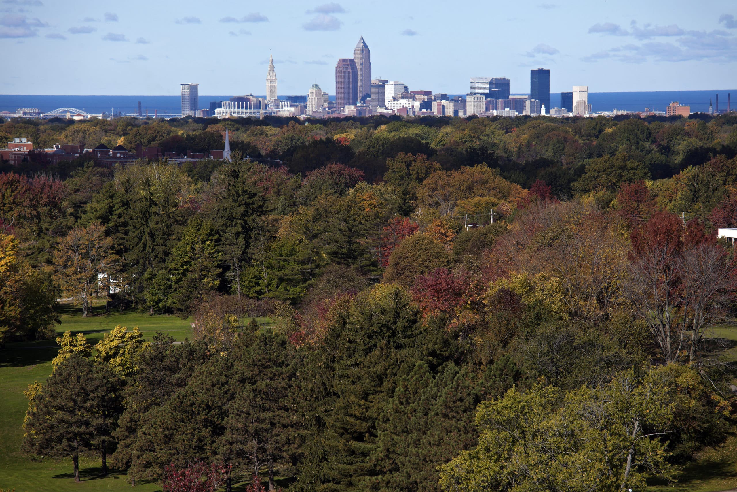 The Cleveland Tree Plan » HF&G