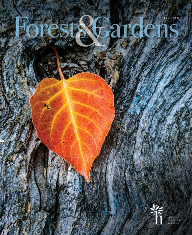 Forests and Gardens Magazine » HF&G