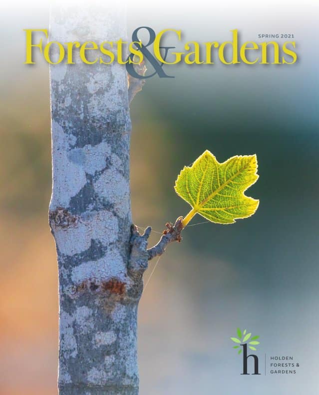 Forests and Gardens Magazine » HF&G