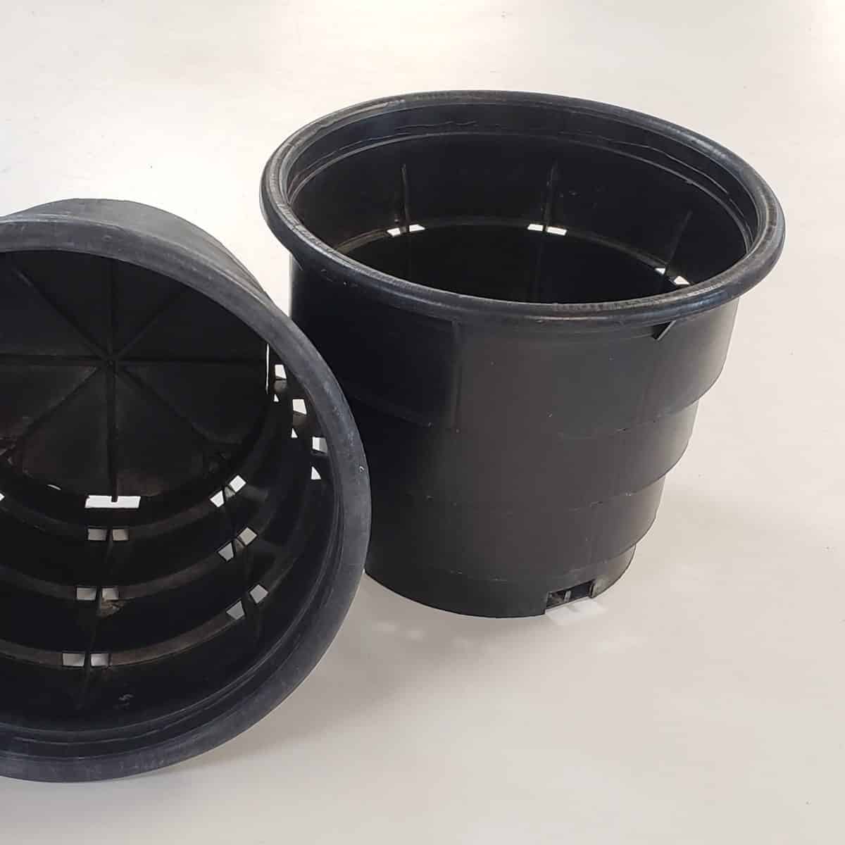 It's About the Roots » Plants » HF&G