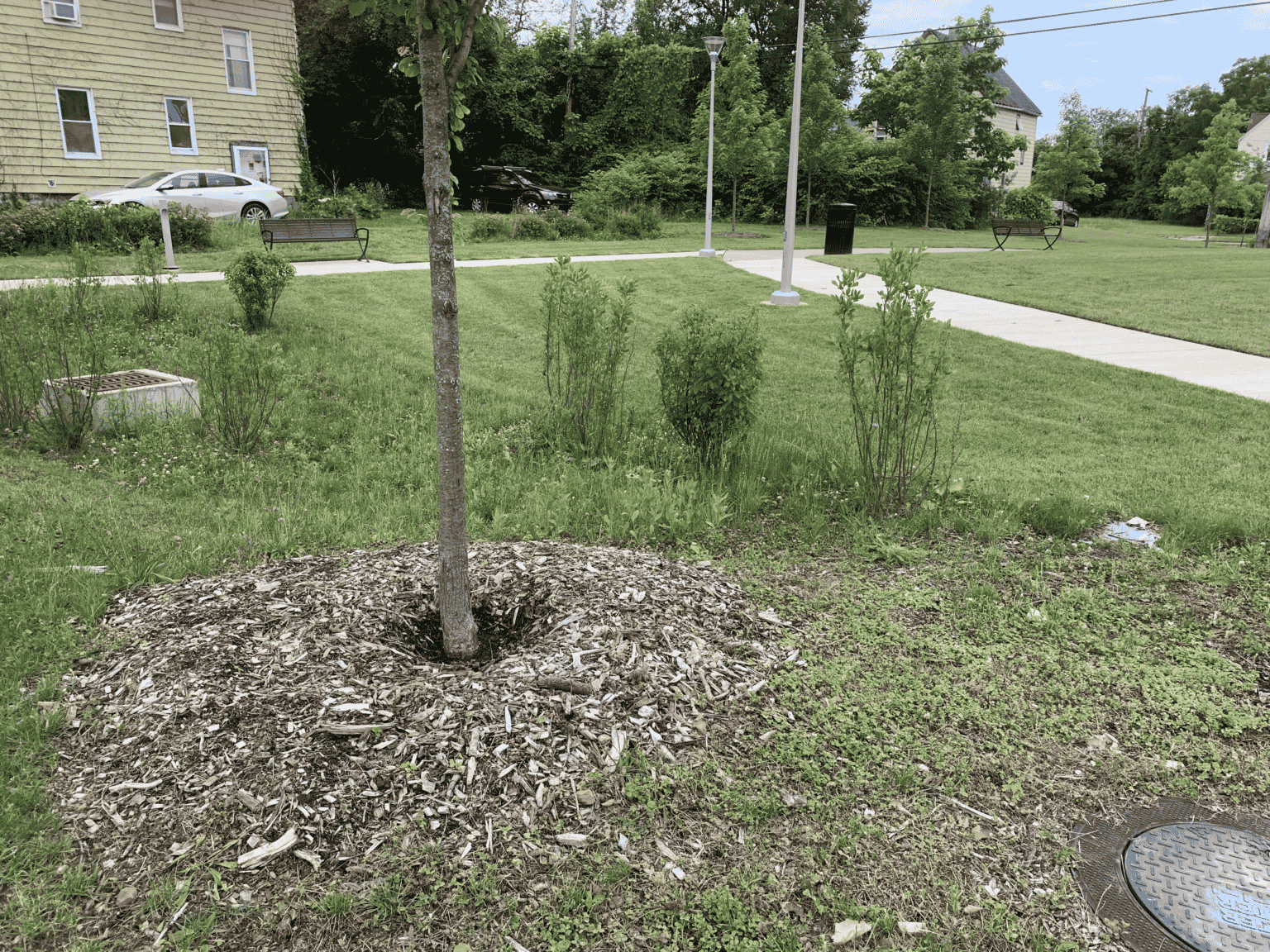 The Do’s and Don’ts of Mulching » Tree Care, Trees » HF&G
