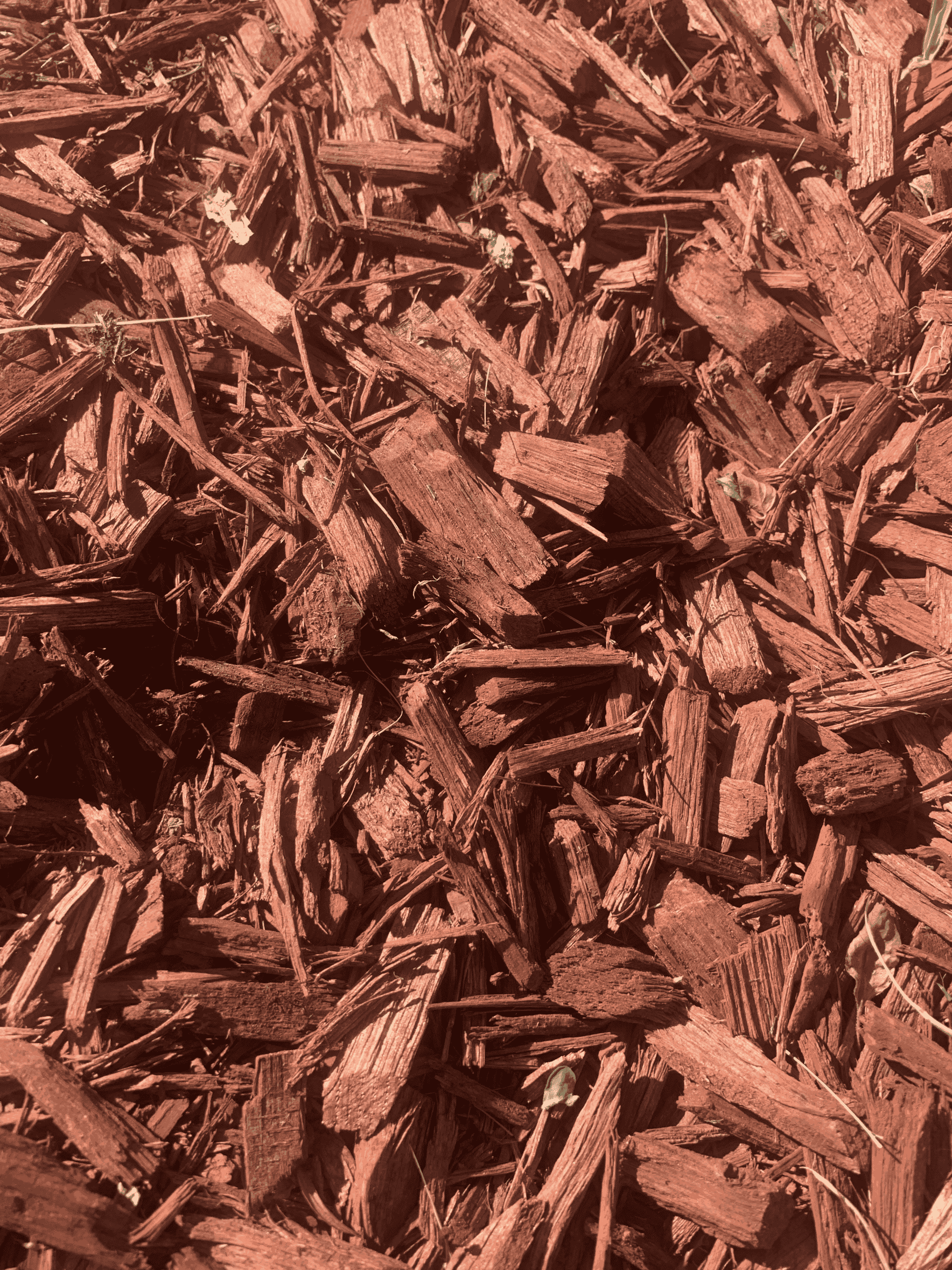 The Do’s and Don’ts of Mulching » Tree Care, Trees » HF&G