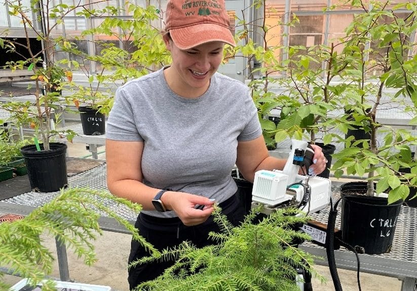 What Is In A Plant Physiologist s Toolkit Measuring Photosynthesis 