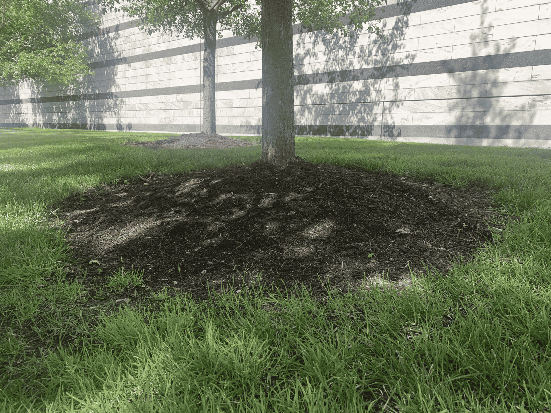 The Do’s and Don’ts of Mulching » Tree Care, Trees » HF&G