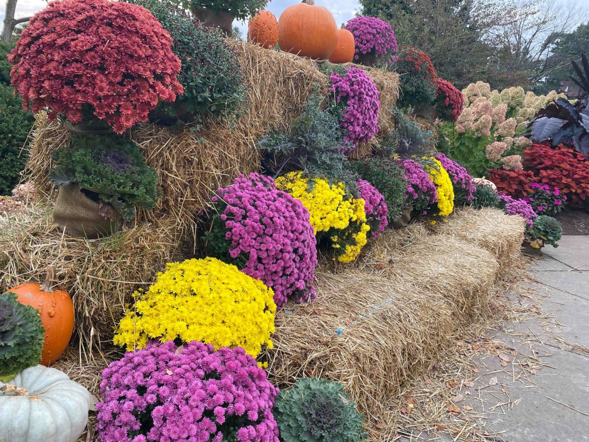 Eleanor Squire Library » Holden Forests & Gardens