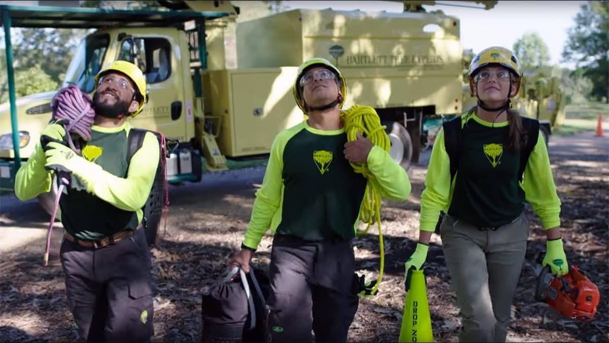 Tips for Keeping Trees Healthy » Tree Care, Trees, Urban Forestry » HF&G