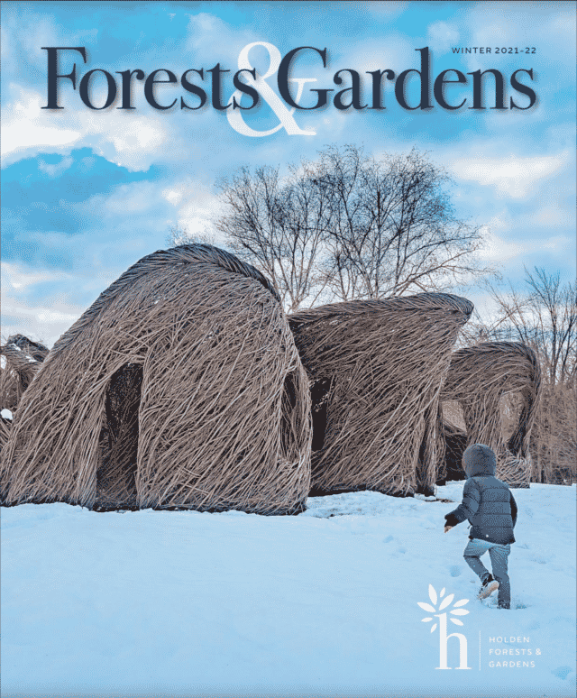 Forests and Gardens Magazine » HF&G