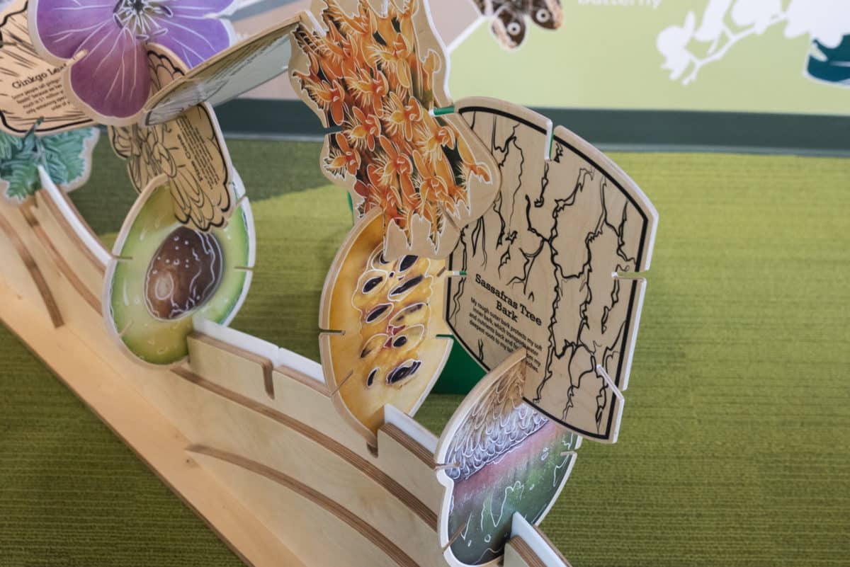 The Ron and Lydia Harrington Perennial Playspace » Cleveland Botanical ...