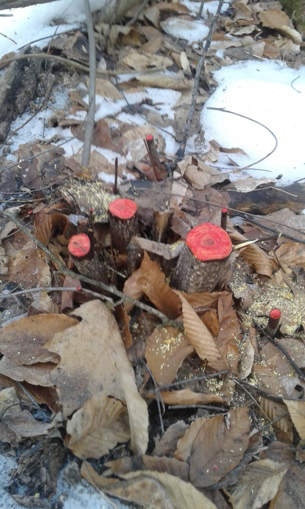 Collections Crew & Excel TECC » Other » HF&G