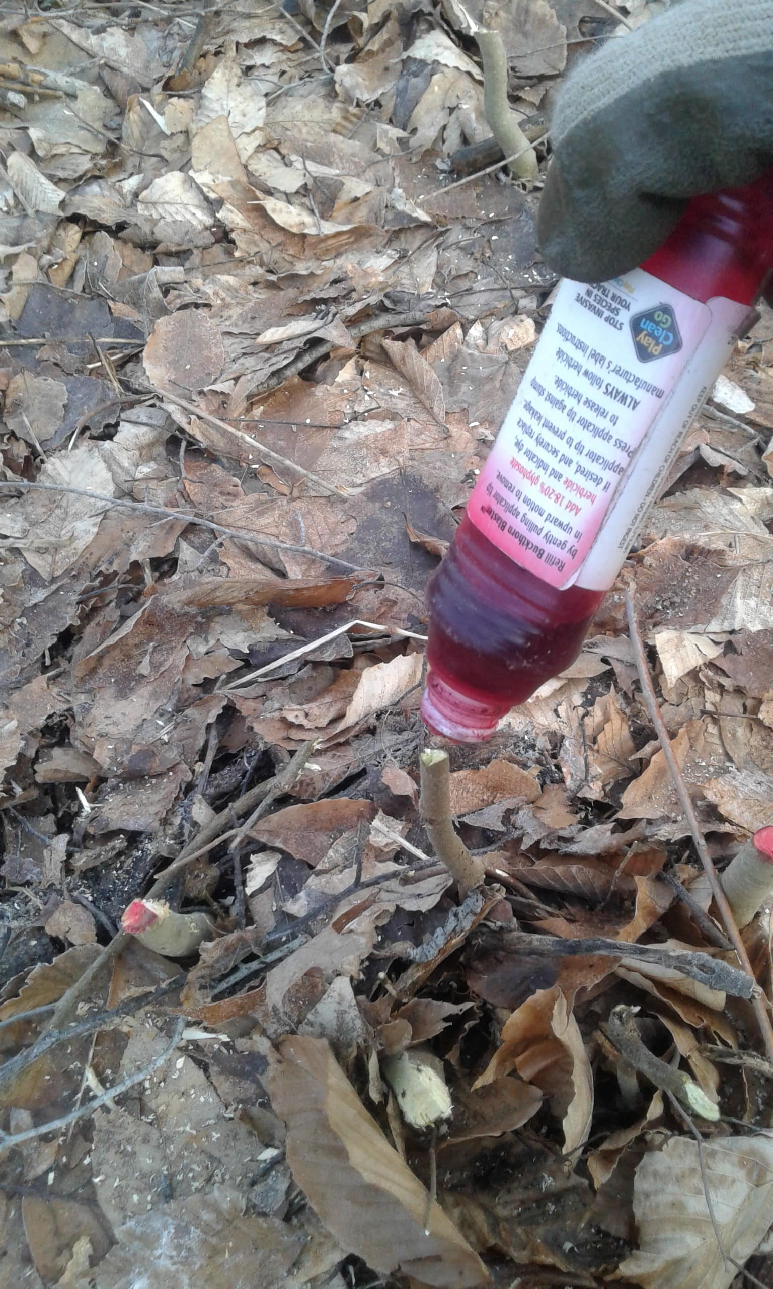 Collections Crew & Excel TECC » Other » HF&G