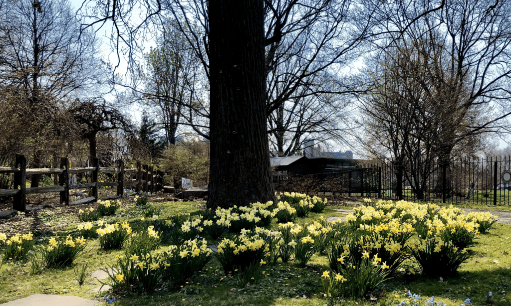 Gardens and Attractions at Cleveland Botanical Garden » Holden Forests ...