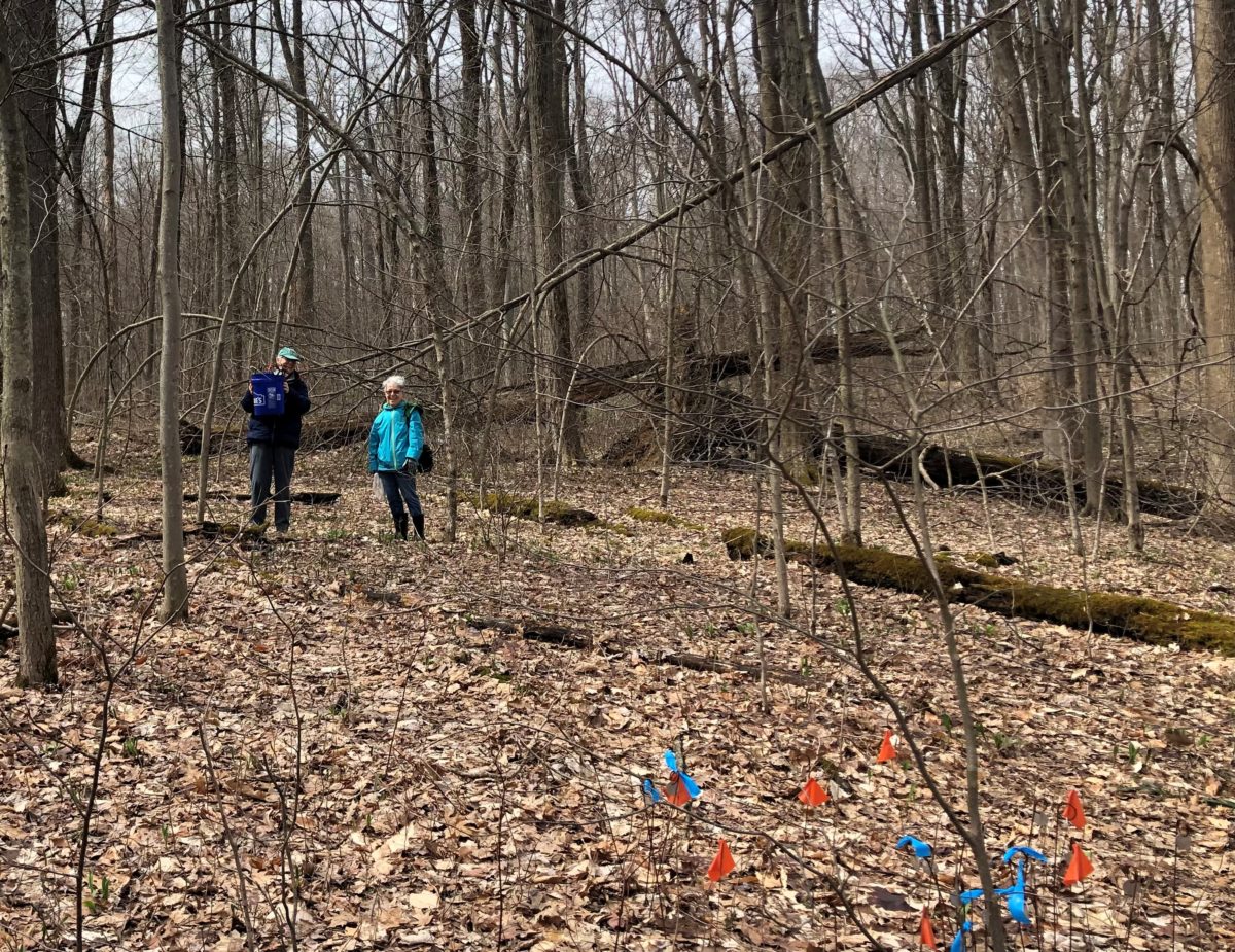 Behind-the-Scenes Spring Phenology Monitoring » Plants, Plant ...