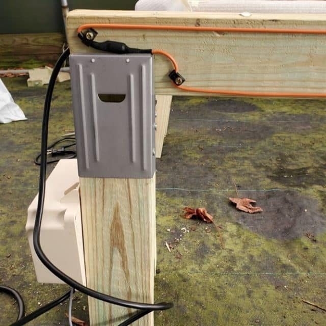 How to Clone a Tree » Trees, Urban Forestry » HF&G