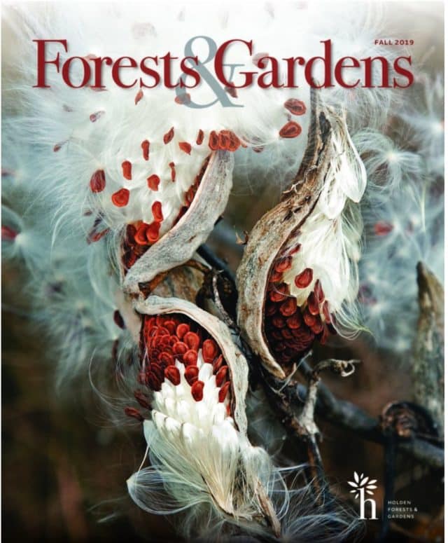 Forests and Gardens Magazine » HF&G
