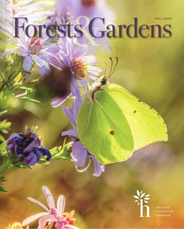 Forests and Gardens Magazine » HF&G