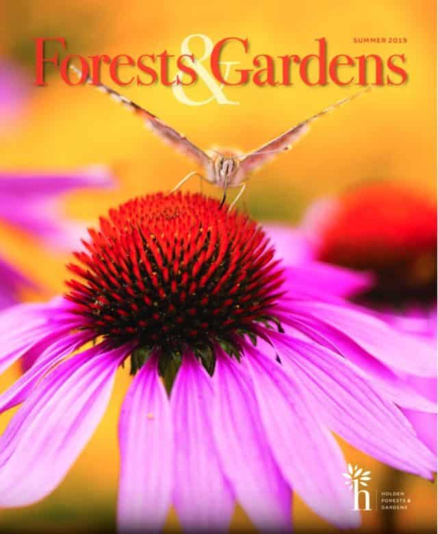 Forests and Gardens Magazine » HF&G