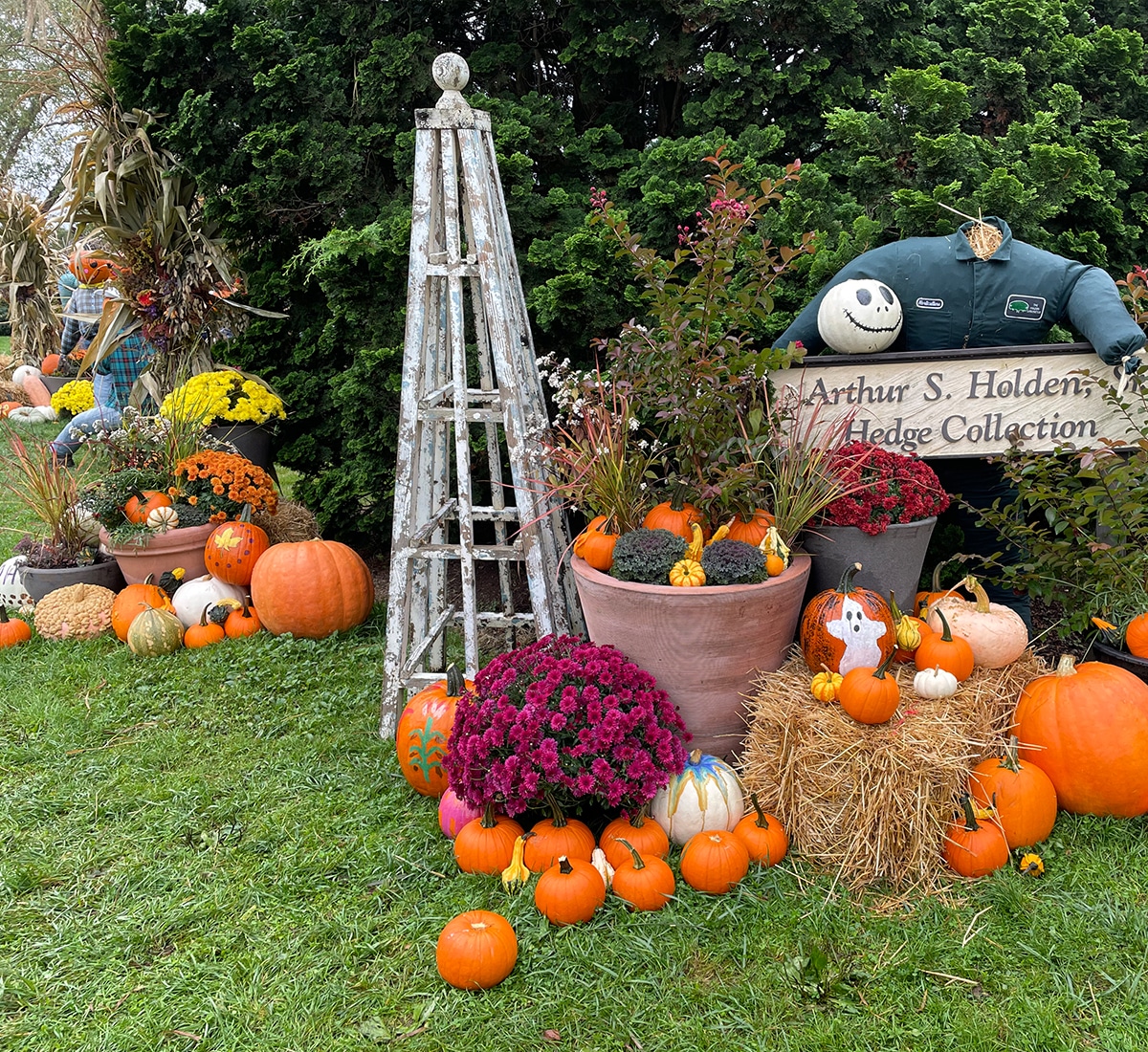 October Fall Pictures