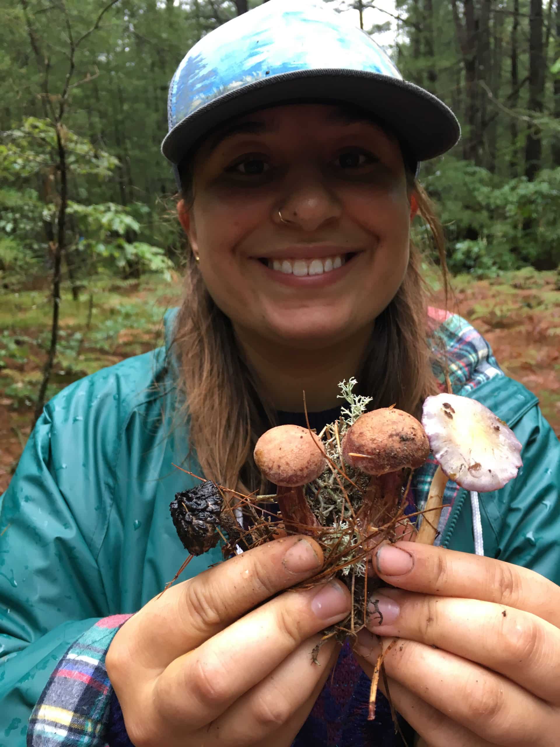 For the Love of Fungi: an ode to the amateur mycologist » Mycology ...