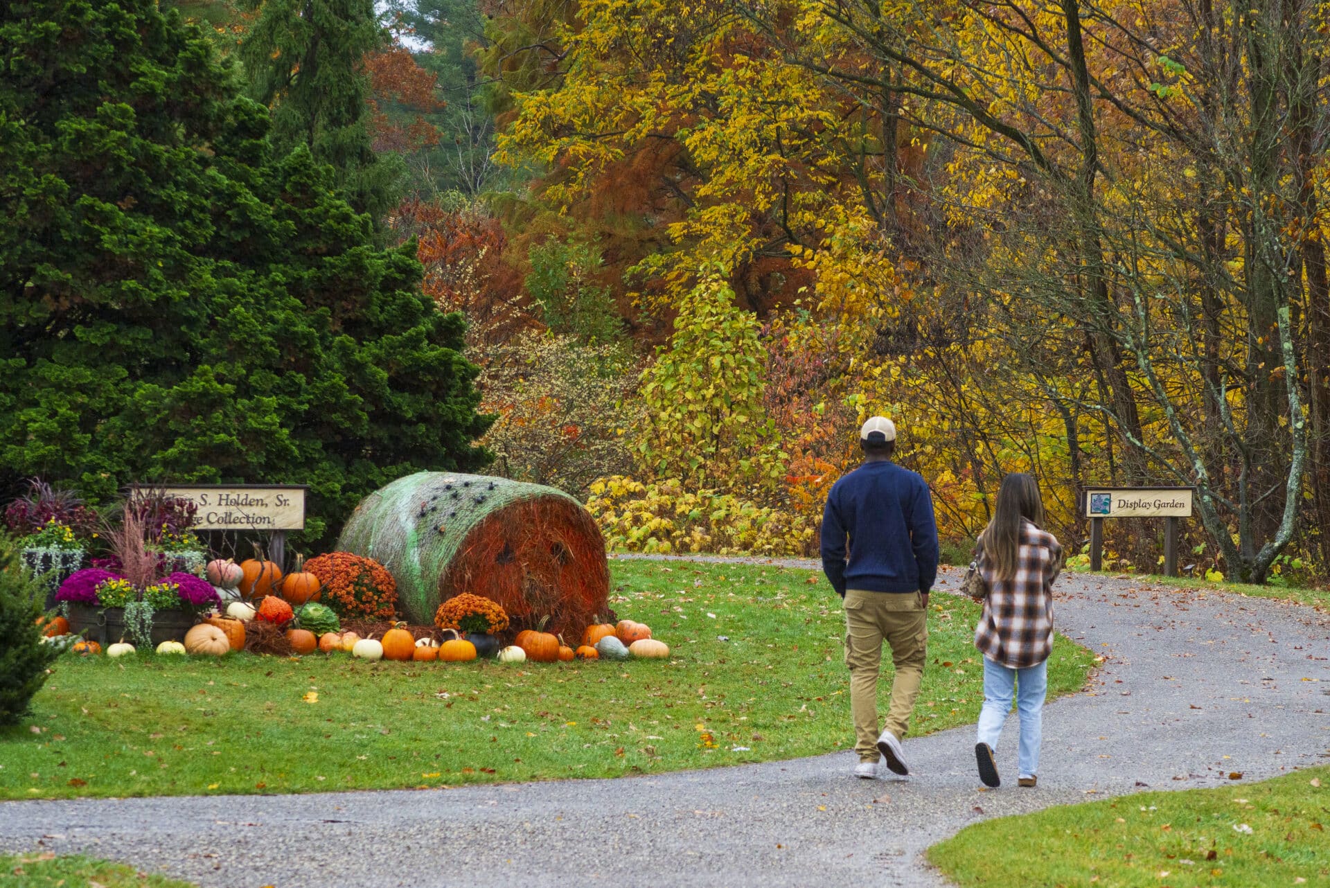 Holden Arboretum Gardens and Attractions » Holden Forests & Gardens