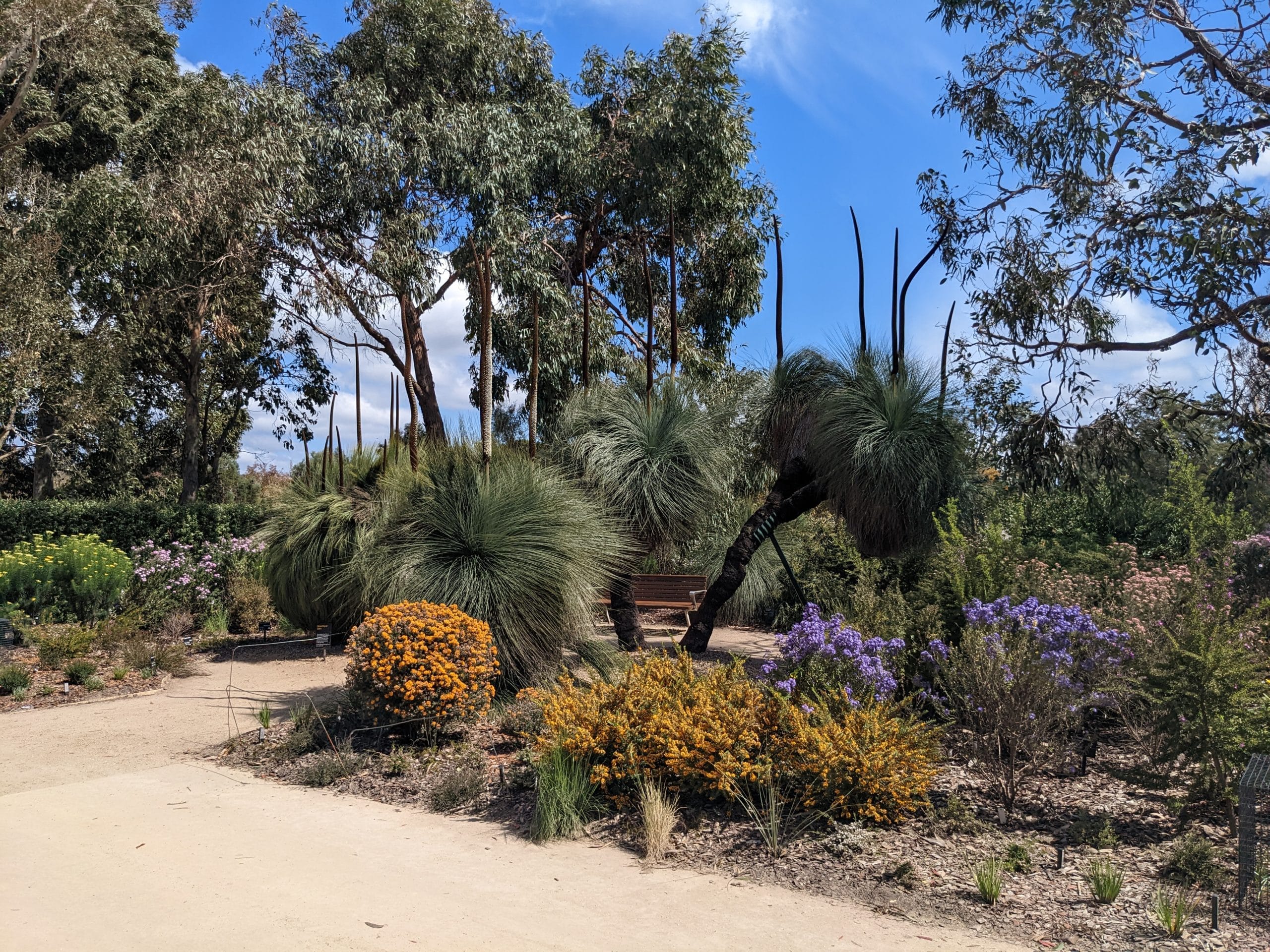 An Inside Look at the Global Botanic Gardens Congress » Plants » HF&G