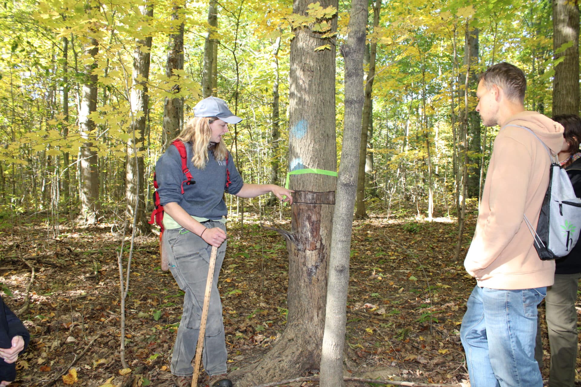 Tree Corps Reaches New Milestone: Planting & Caring for More Trees Than ...