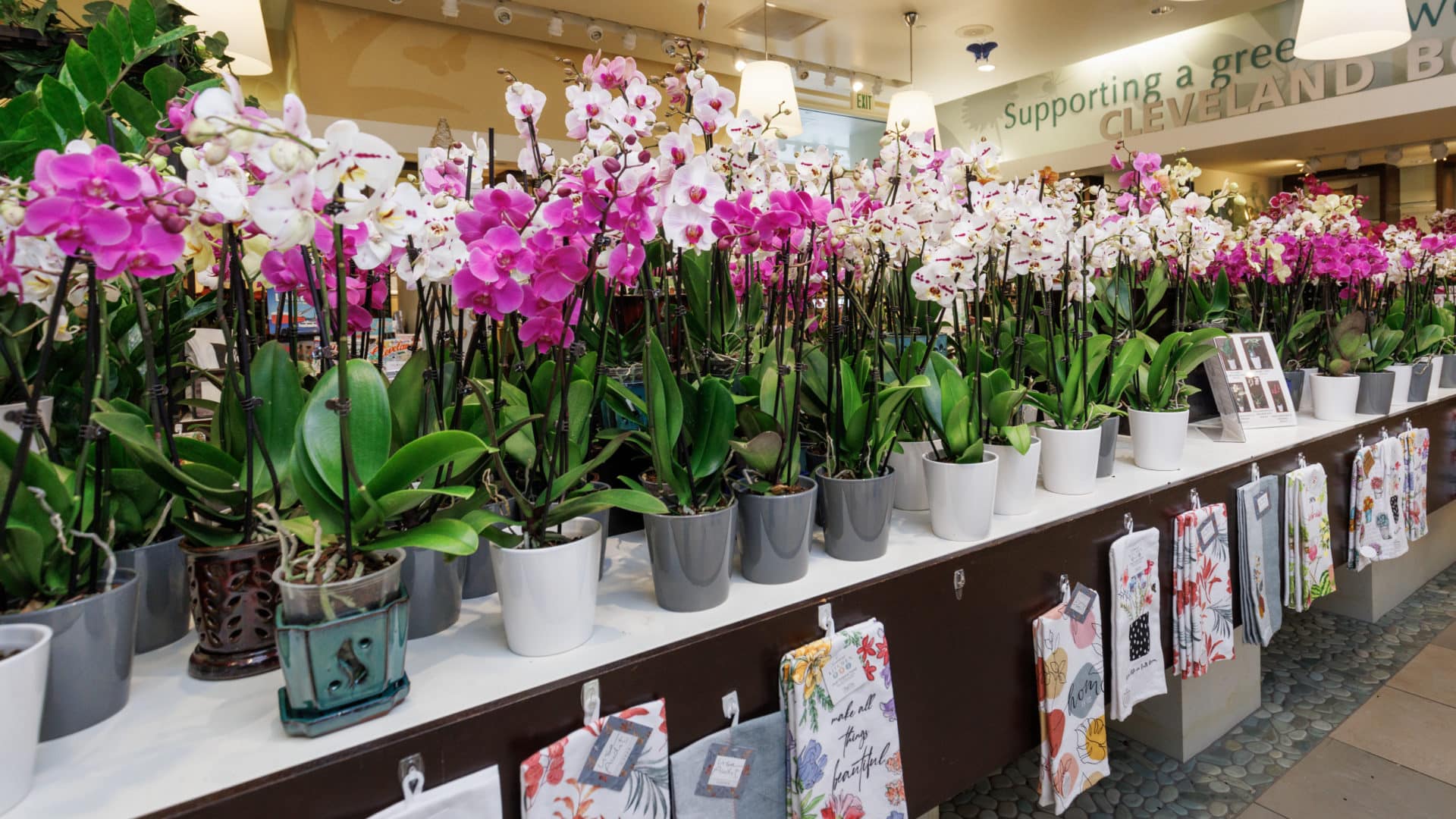 The Garden Store » Holden Forests & Gardens