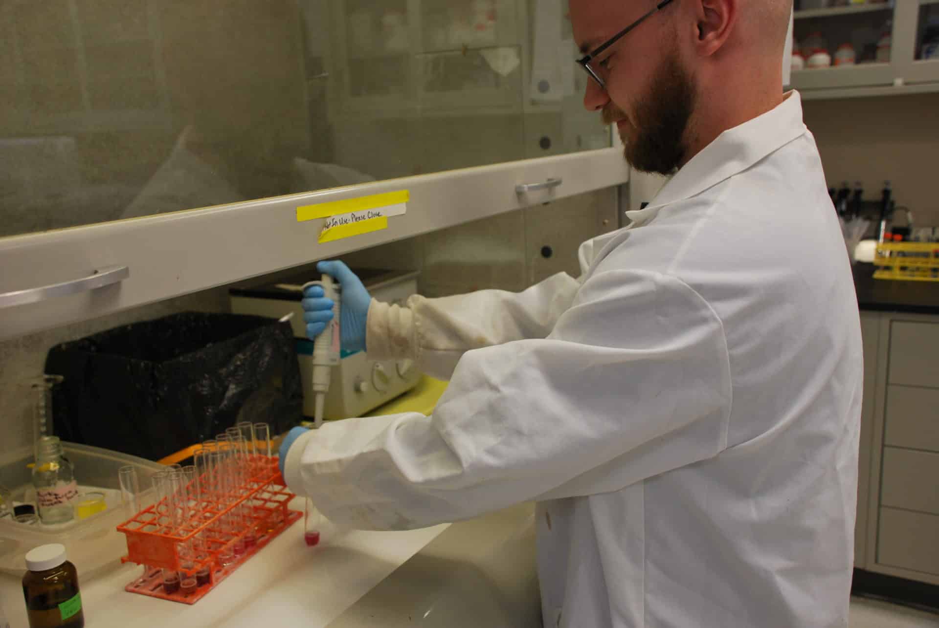 The Sweet Side of Winter: Carbohydrate Dynamics during Cold Acclimation ...