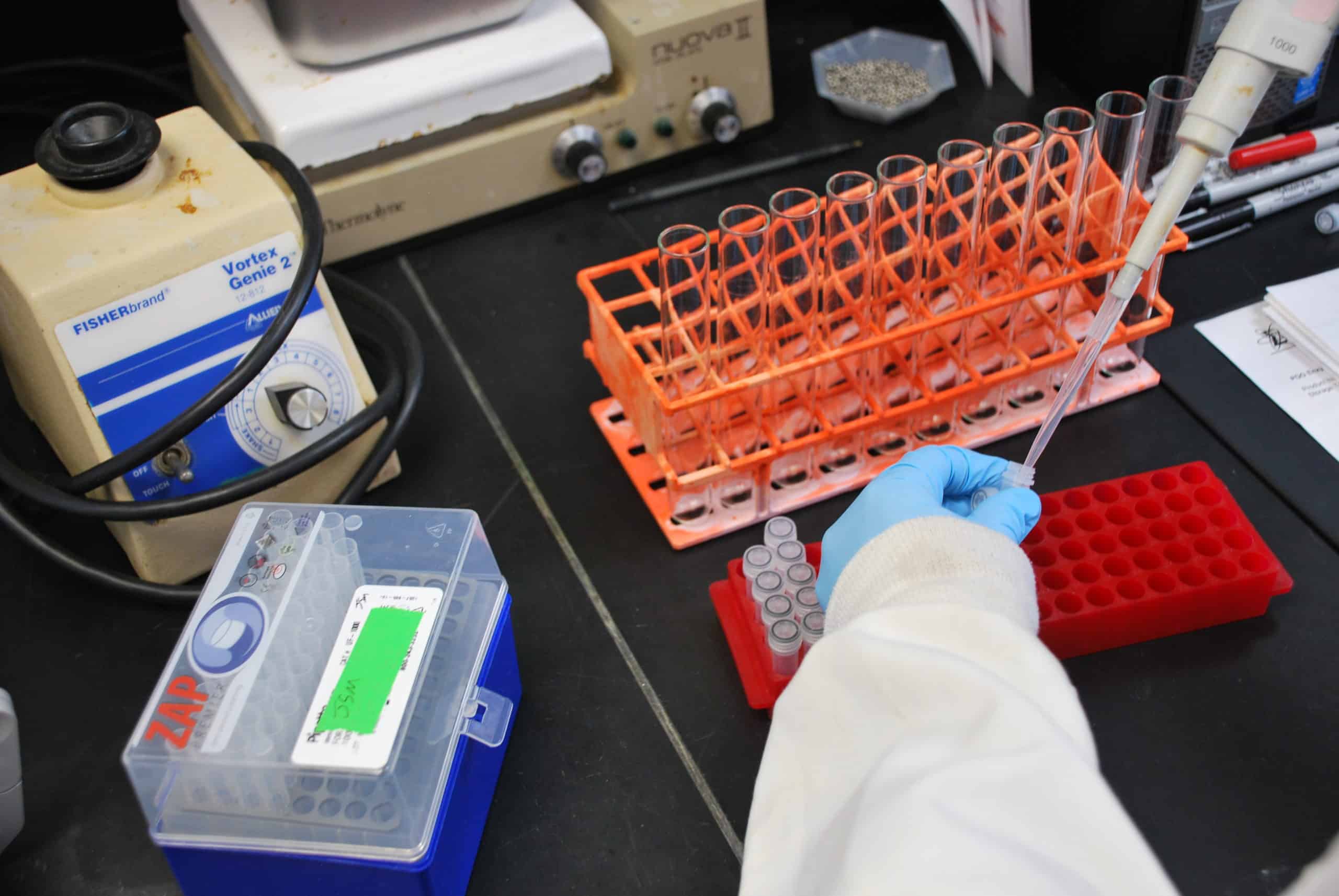 The Sweet Side of Winter: Carbohydrate Dynamics during Cold Acclimation ...