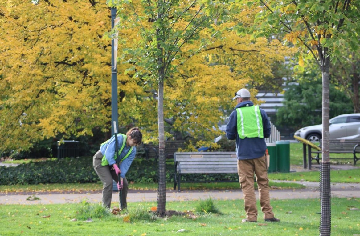 Tree Corps Reaches New Milestone: Planting & Caring for More Trees Than ...