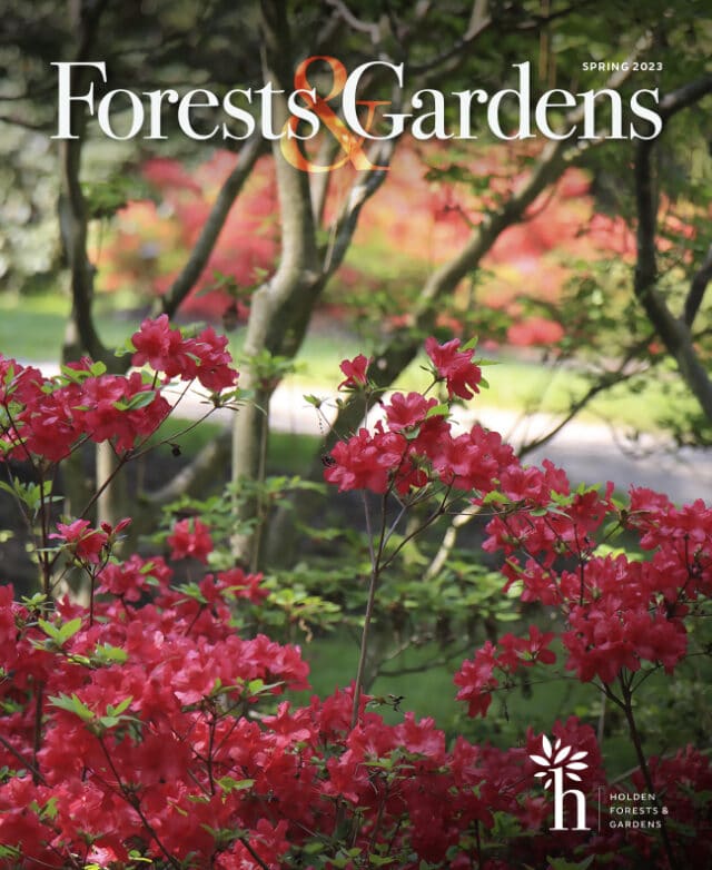 Forests and Gardens Magazine » HF&G
