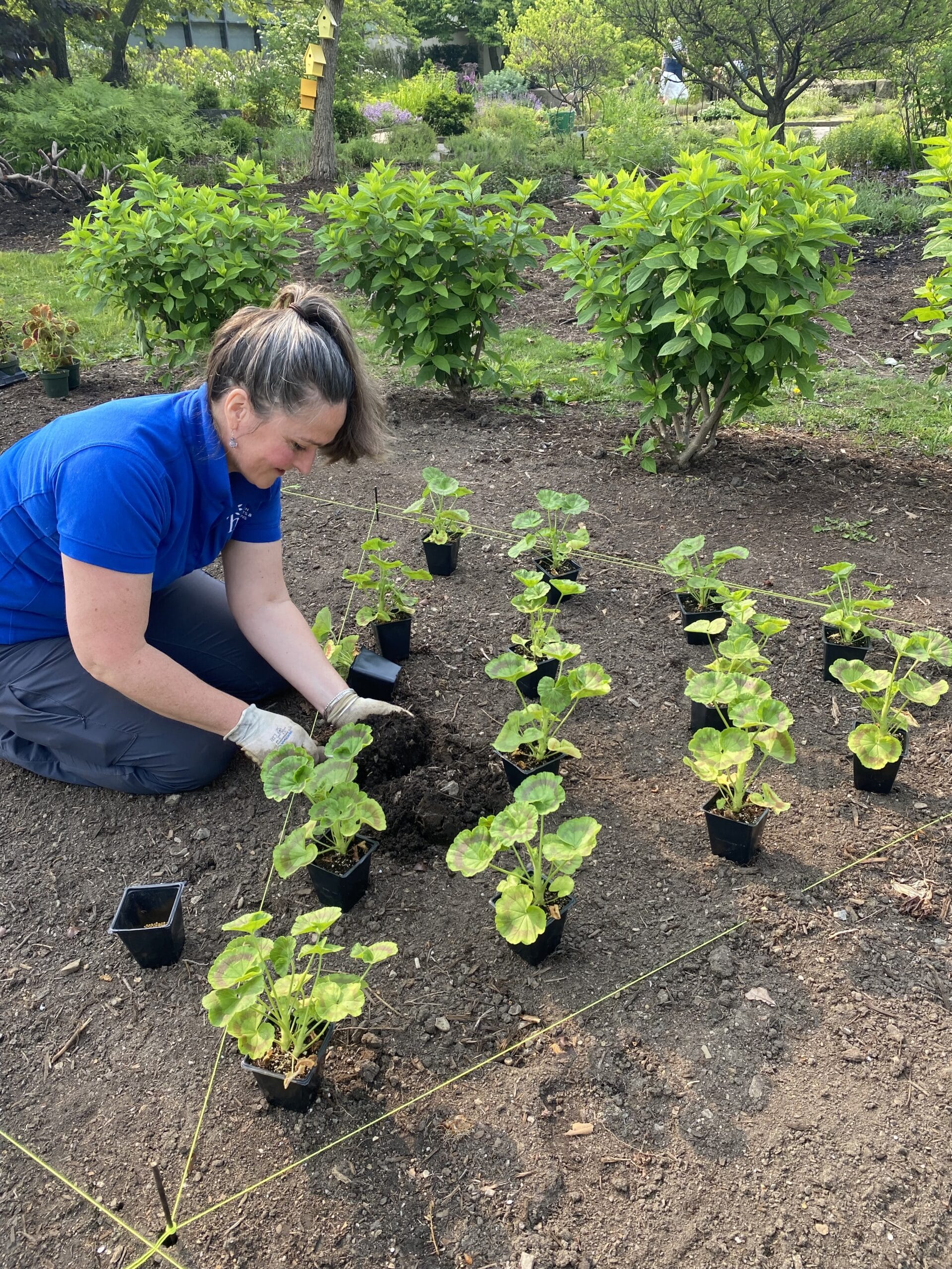 Behind-the-Scenes of Blooms! Botanicals and Birdhouses » Other » HF&G