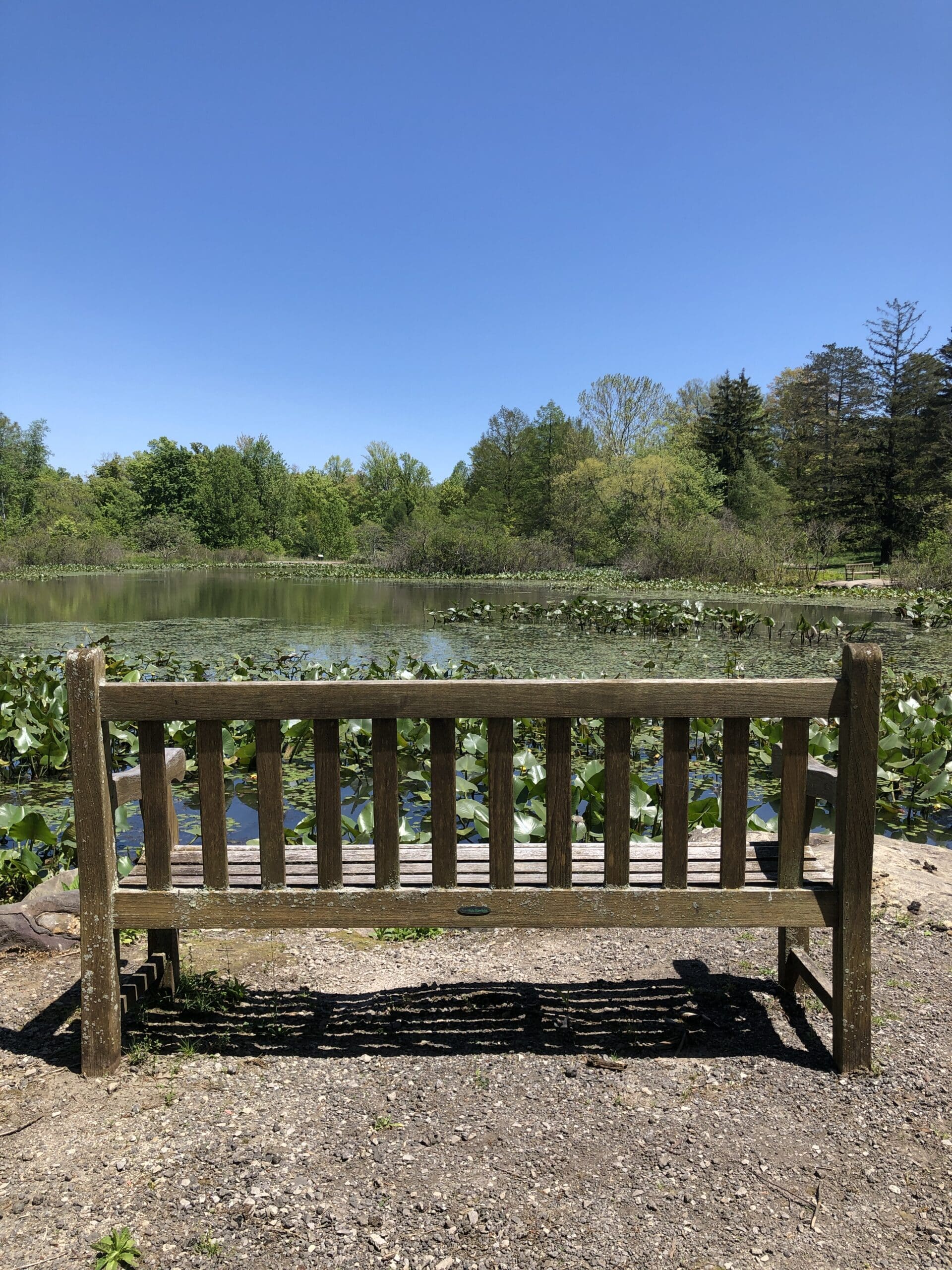 33 Splendid Bench Views at the Holden Arboretum » Other » HF&G