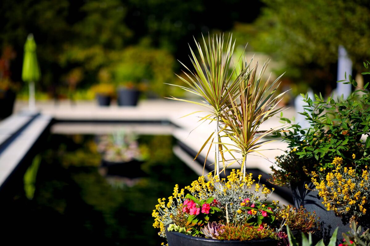 Homepage » Holden Forests & Gardens