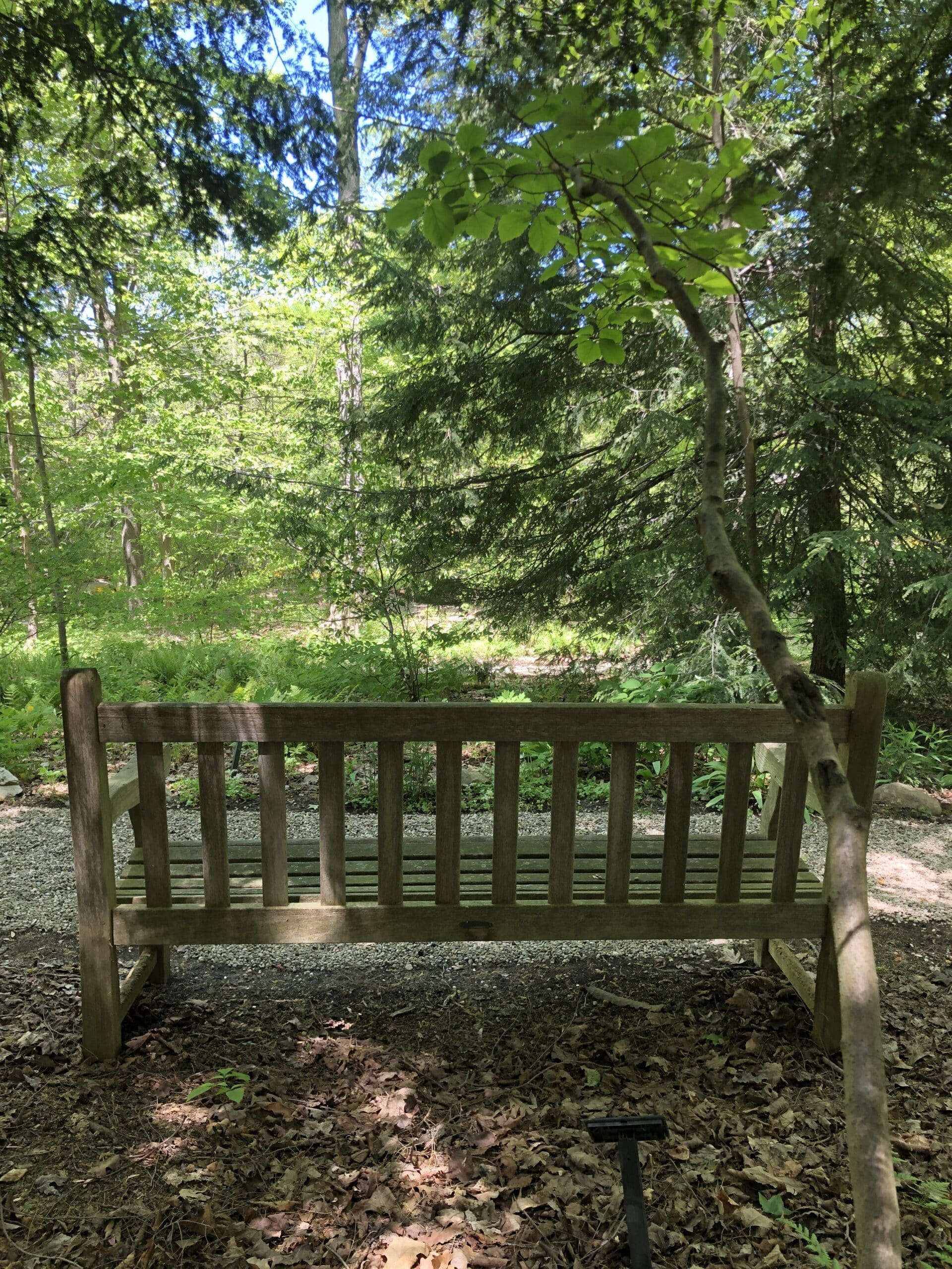 33 Splendid Bench Views at the Holden Arboretum » Other » HF&G