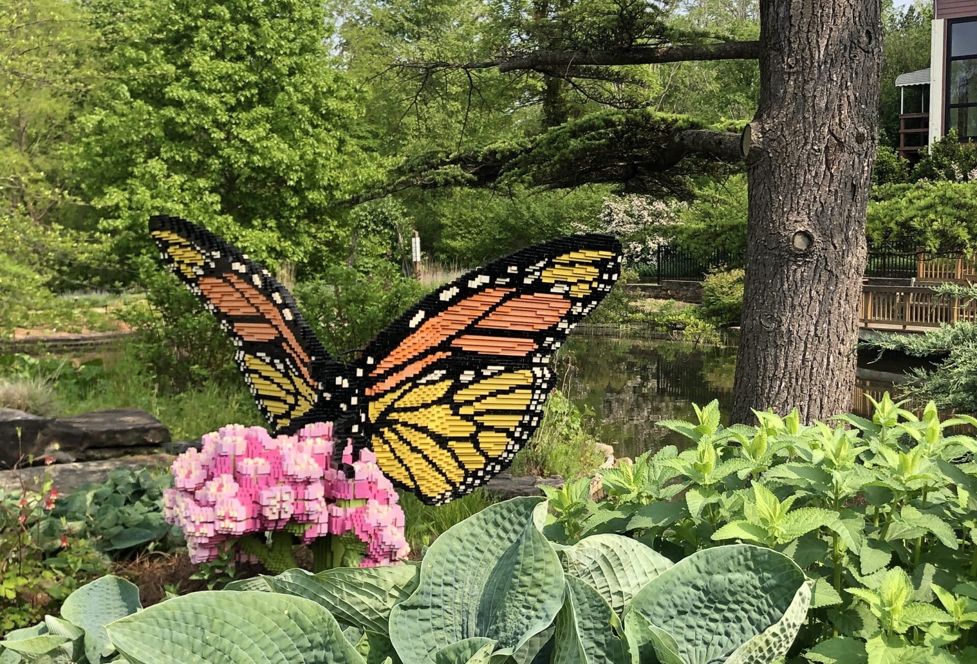 Homepage » Holden Forests & Gardens