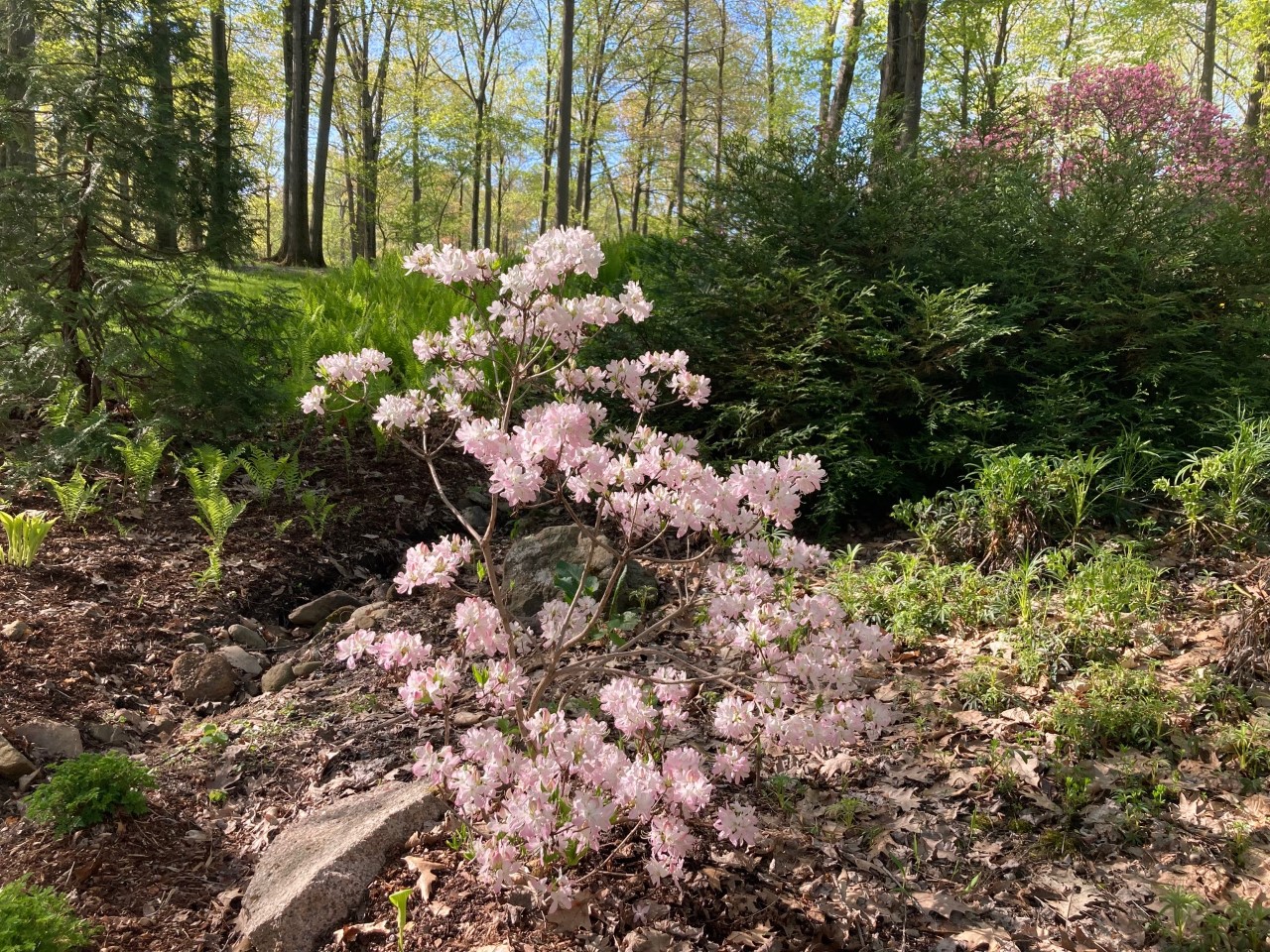 It's Poppin': May 12th » Other » HF&G