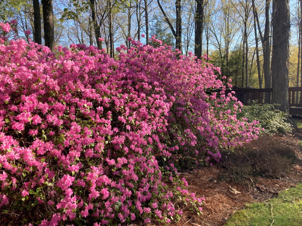 It's Poppin': May 5th » Other » HF&G