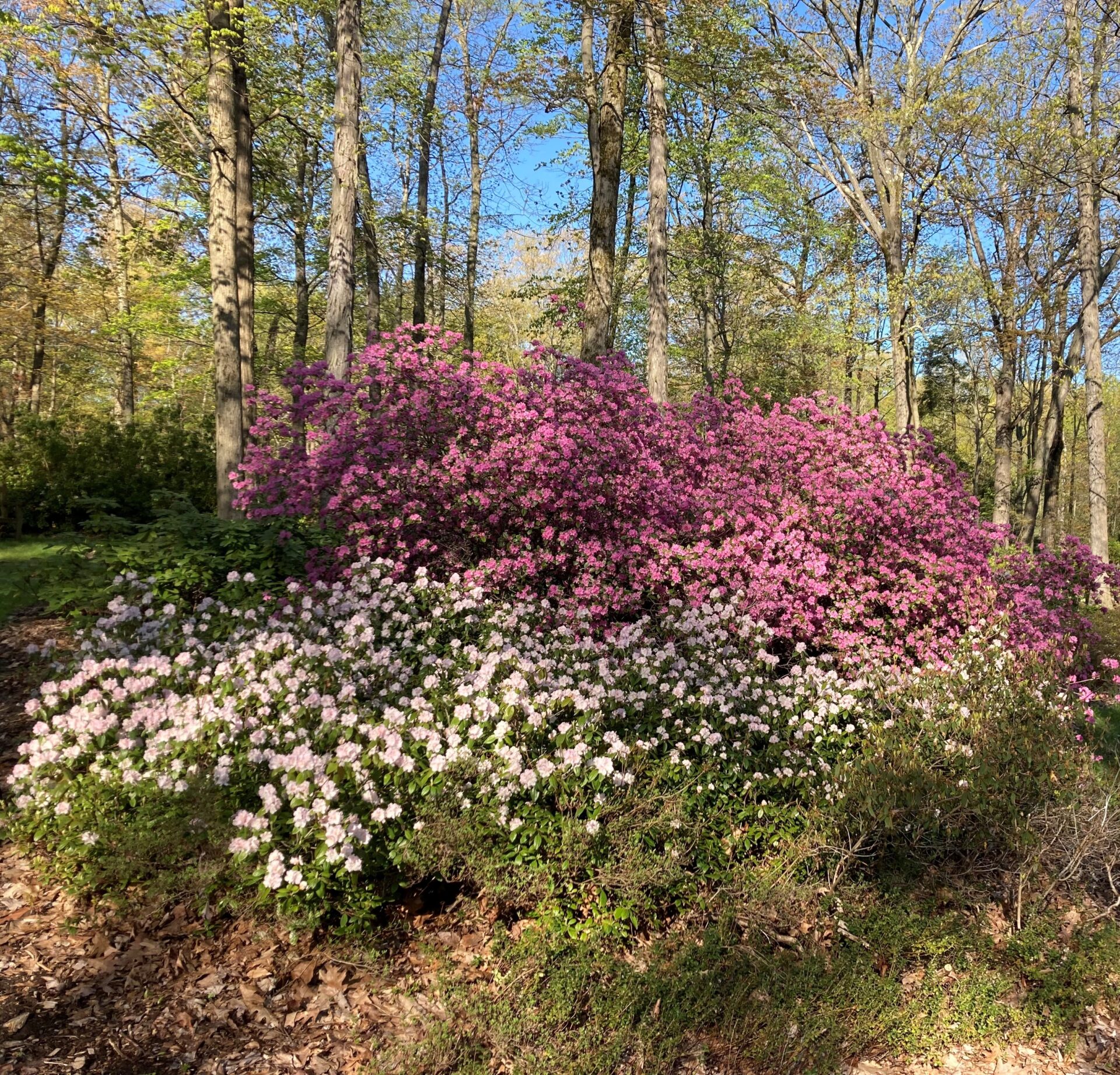 It's Poppin': May 5th » Other » HF&G