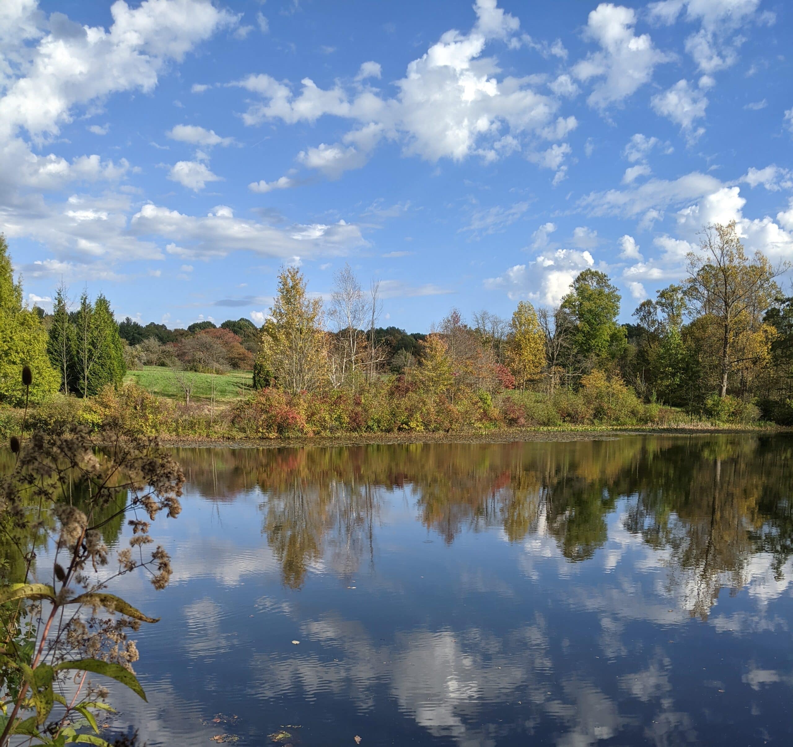 College Self Guided Tour » Holden Arboretum » HF&G