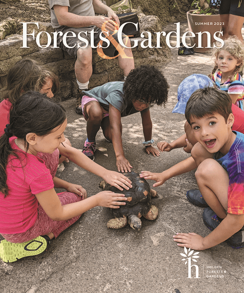 Forests and Gardens Magazine » HF&G